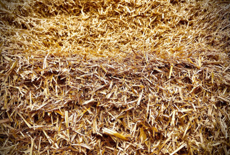 Equine Bedding – Newbridge Straw
